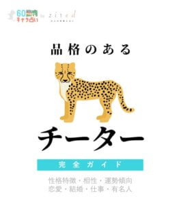 品格のあるチーターの特徴【動物キャラ占い】 - zired