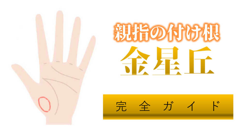 【手相】親指の付け根「金星丘」ガイド - zired