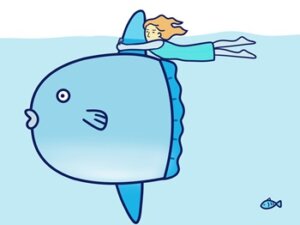 魚の夢の意味！たくさんの魚？魚釣り？など内容でわかること【夢占い】 - zired